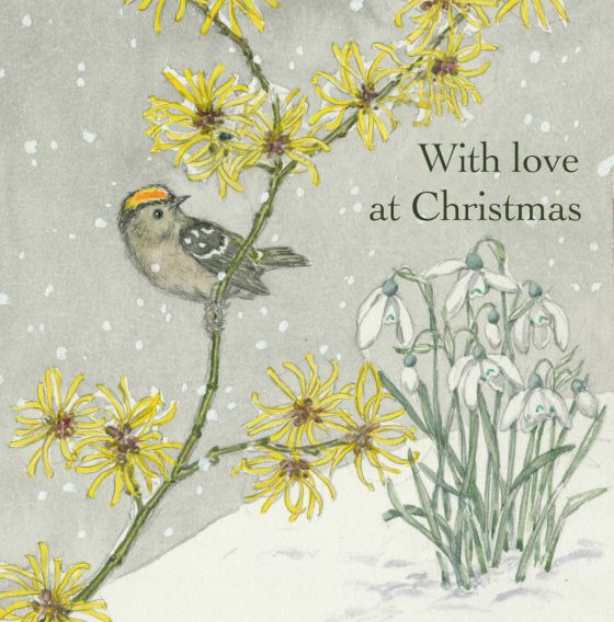 Molly Brett - Artists