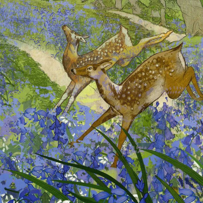 Fallows Flight art card