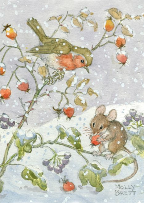 orchard cards green label molly brett christmas card robin and rosehips