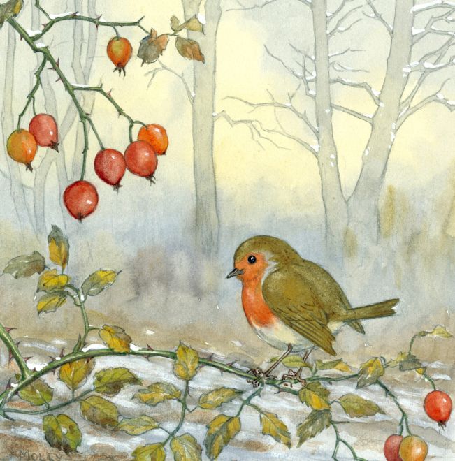 orchard cards green label molly brett christmas card woodland robin