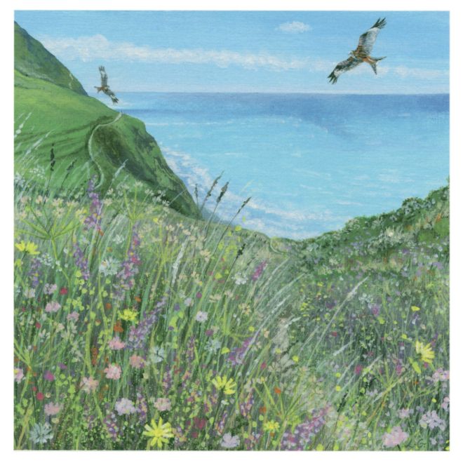 Red kites over the cliffs - a gorgeous blank art greetings card by Lucy ...