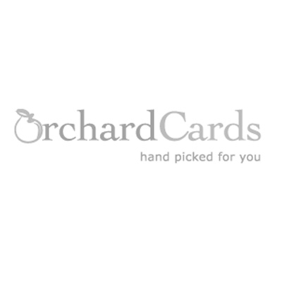 English Partridges art card